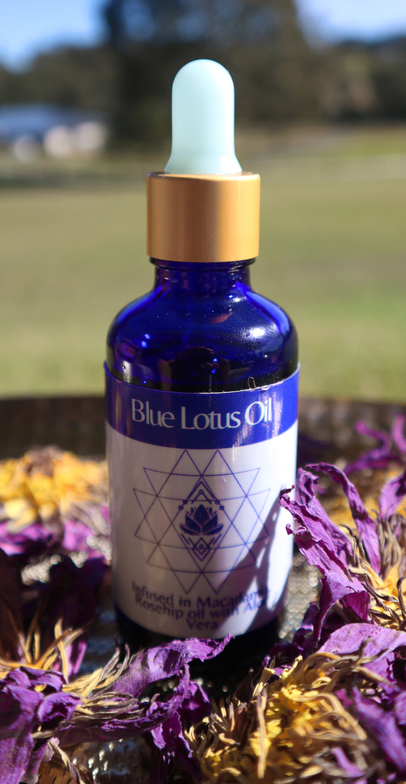 06 THIRD EYE – Blue Lotus Oil: Blue Lilly flowers infused with Blue ...